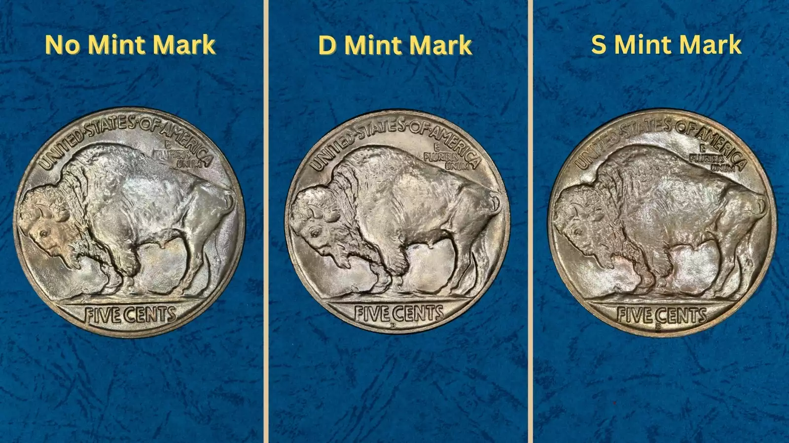 1920 Buffalo Nickel Coin Value: How Much Is It Worth? (Mar. Update)