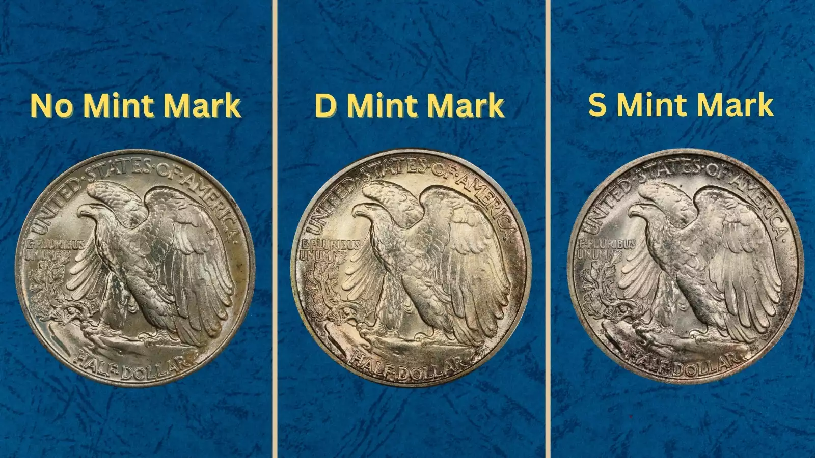 1945 Half Dollar Coin Value: How Much Is It Worth? (Mar. Update)