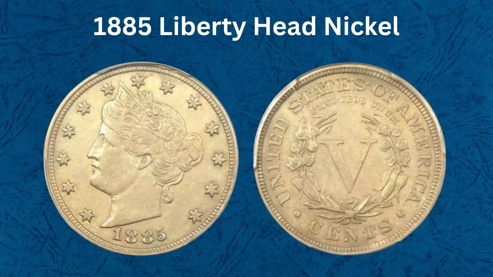 Liberty Head “V” Nickel Coin Value (1883-1913)