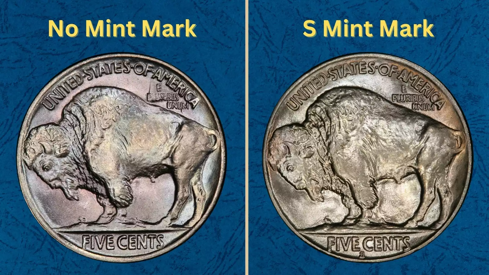 1921 Buffalo Nickel Coin Value
