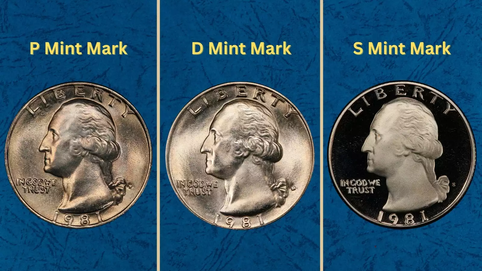 1981 Quarter Value: How Much Is It Worth? (Mar. Update)