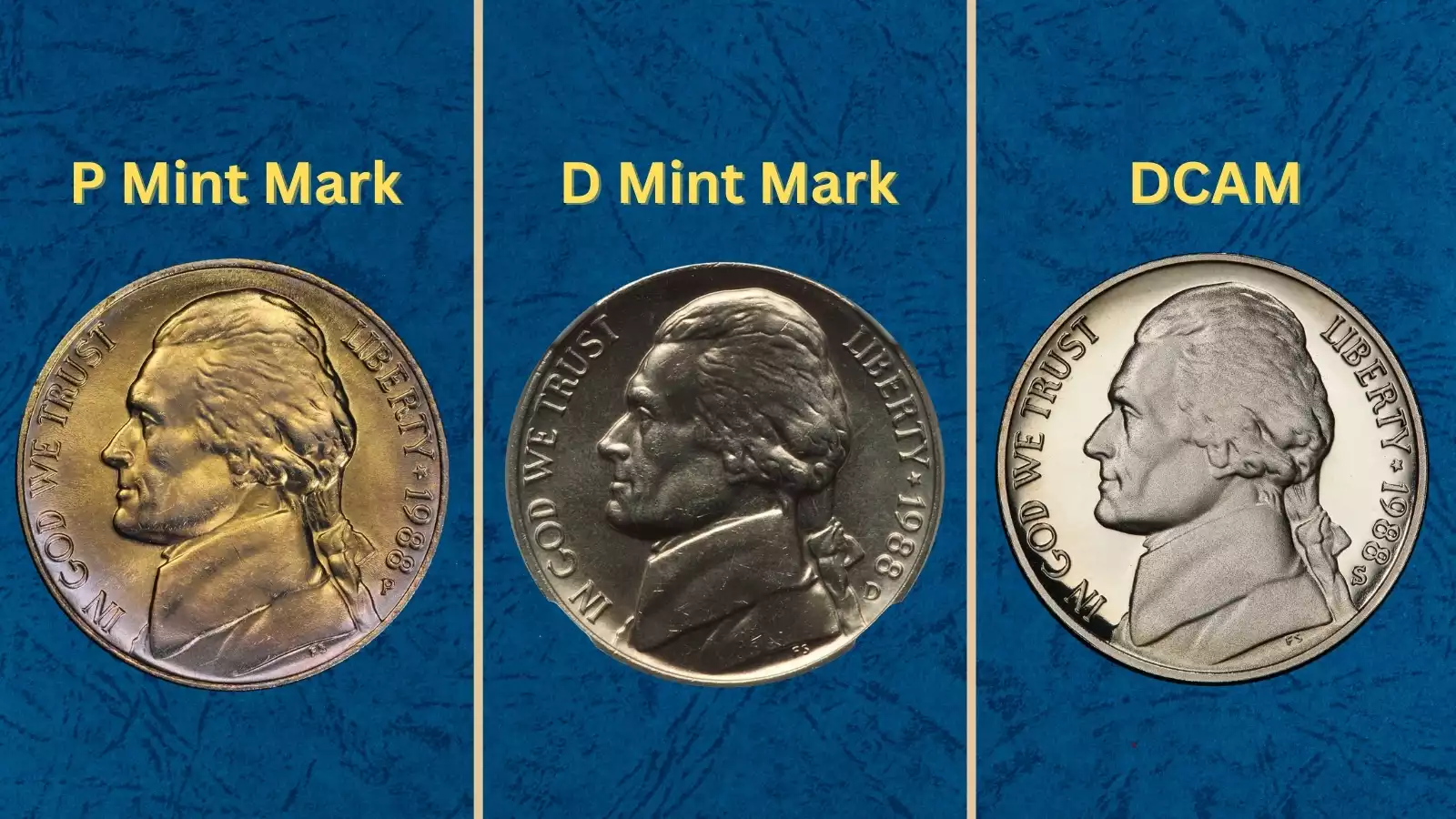 1988 Nickel Coin Value: How Much Is It Worth? (Feb Update)