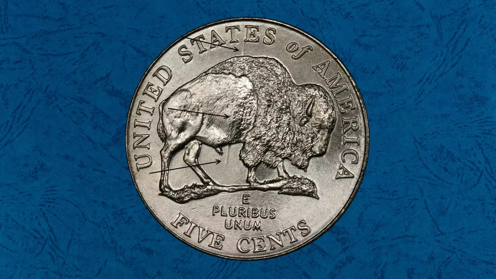 2005 Nickel Coin Value: How Much Is It Worth? (Feb Update)