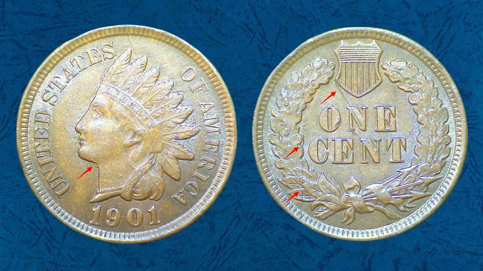 1901 Indian Head Penny Error List with Pictures (Worth Money!)