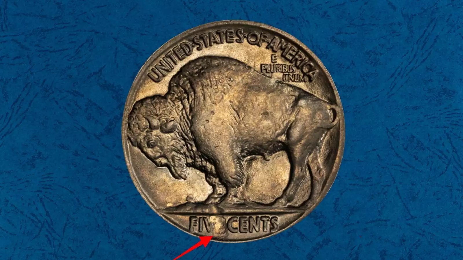 1919 Buffalo Nickel Value