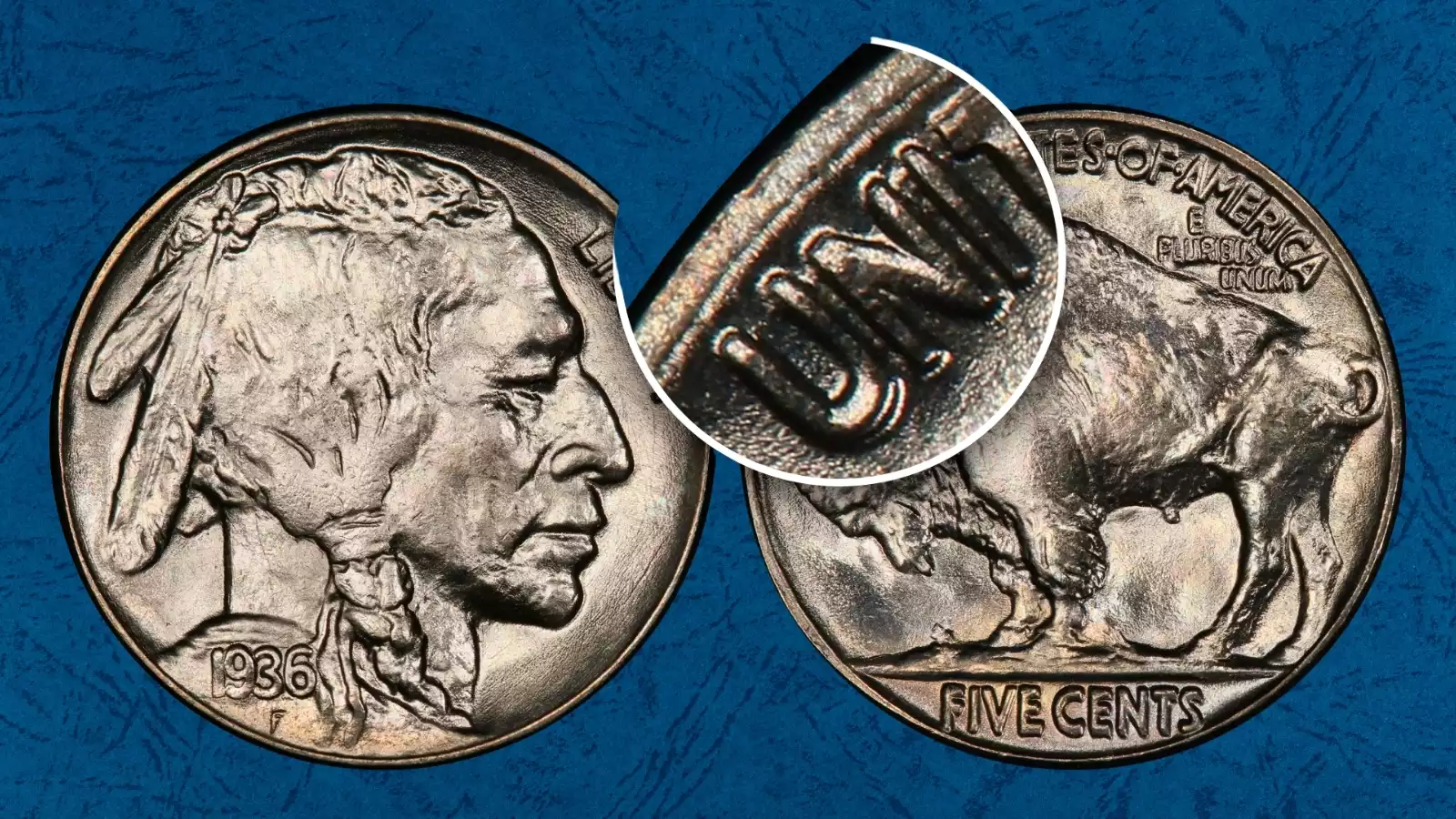1936 Buffalo Nickel Error List with Pictures (Worth Money!)