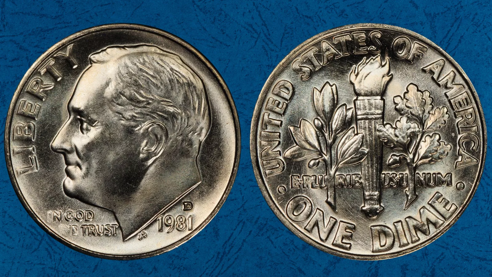 1981 Dime Value: How Much Is It Worth? (Mar. Update)