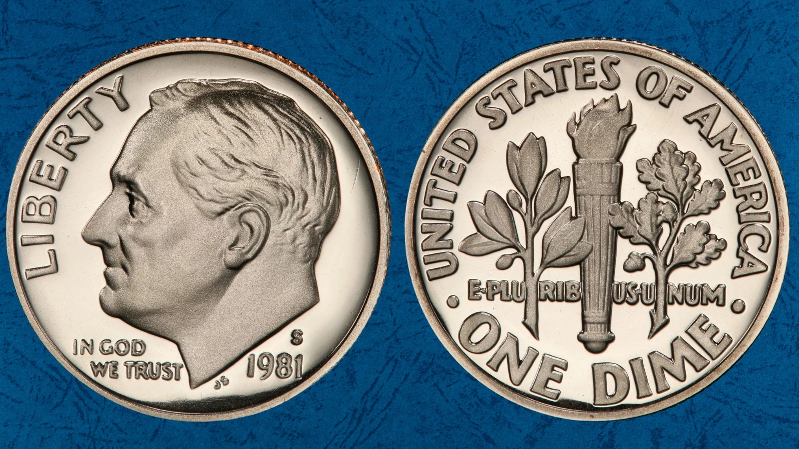 1981 Dime Value: How Much Is It Worth? (Mar. Update)