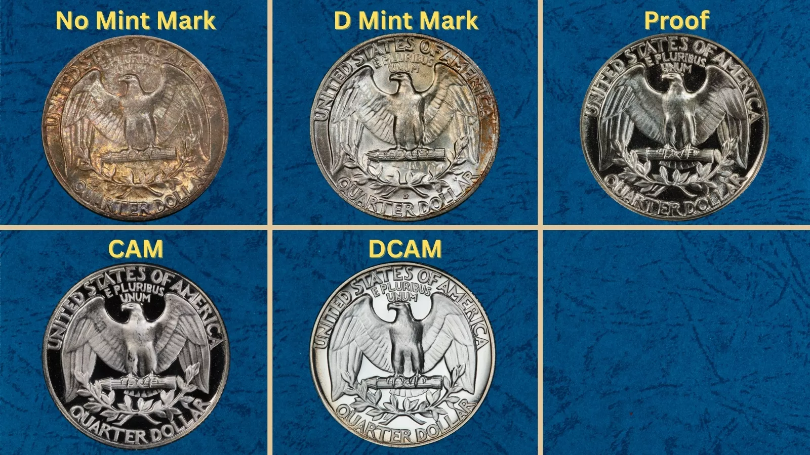 1956 Quarter Coin Value: How Much Is It Worth? (Mar. Update)