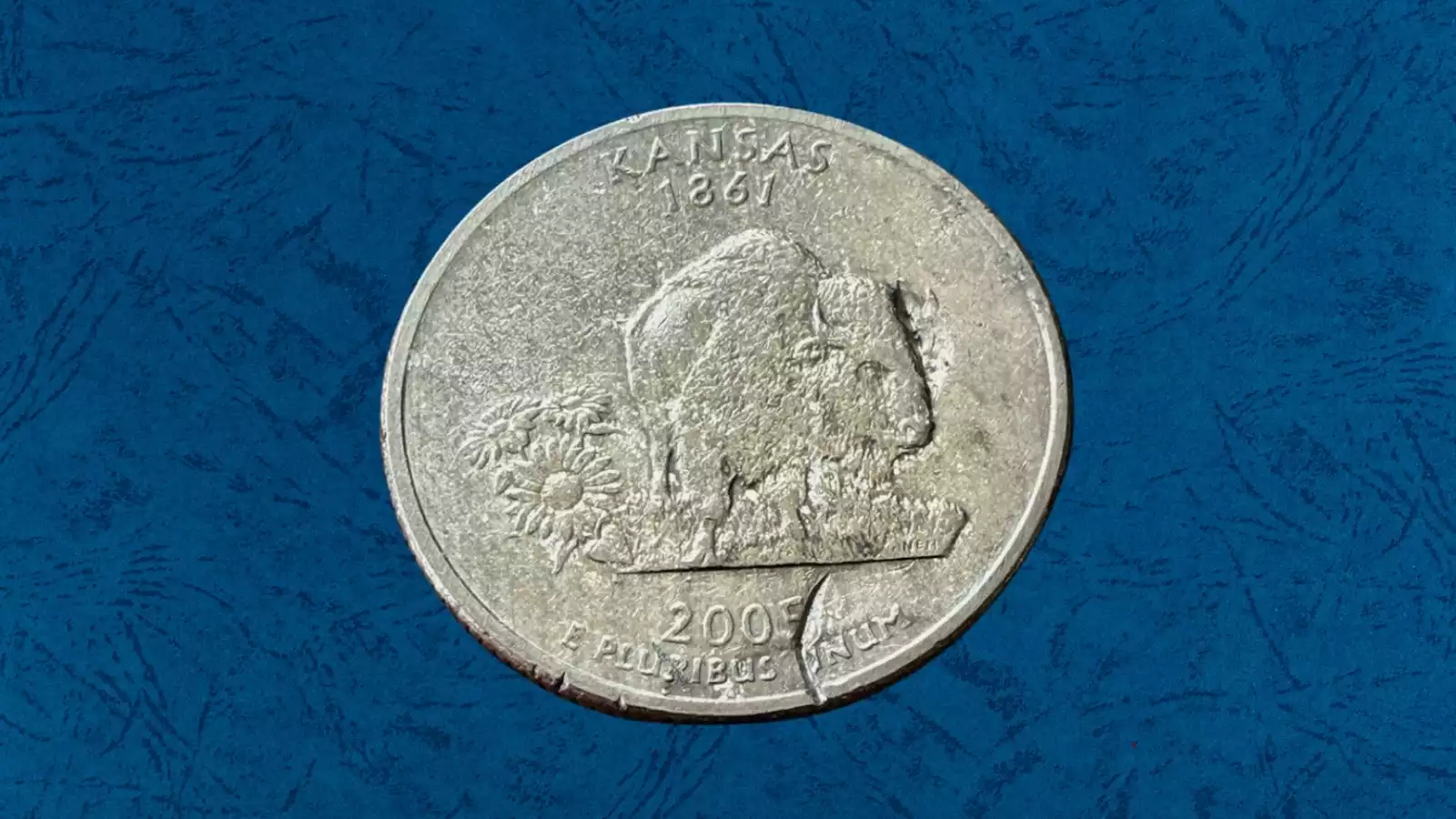 2005 Quarter Error List with Pictures (Worth Money!)