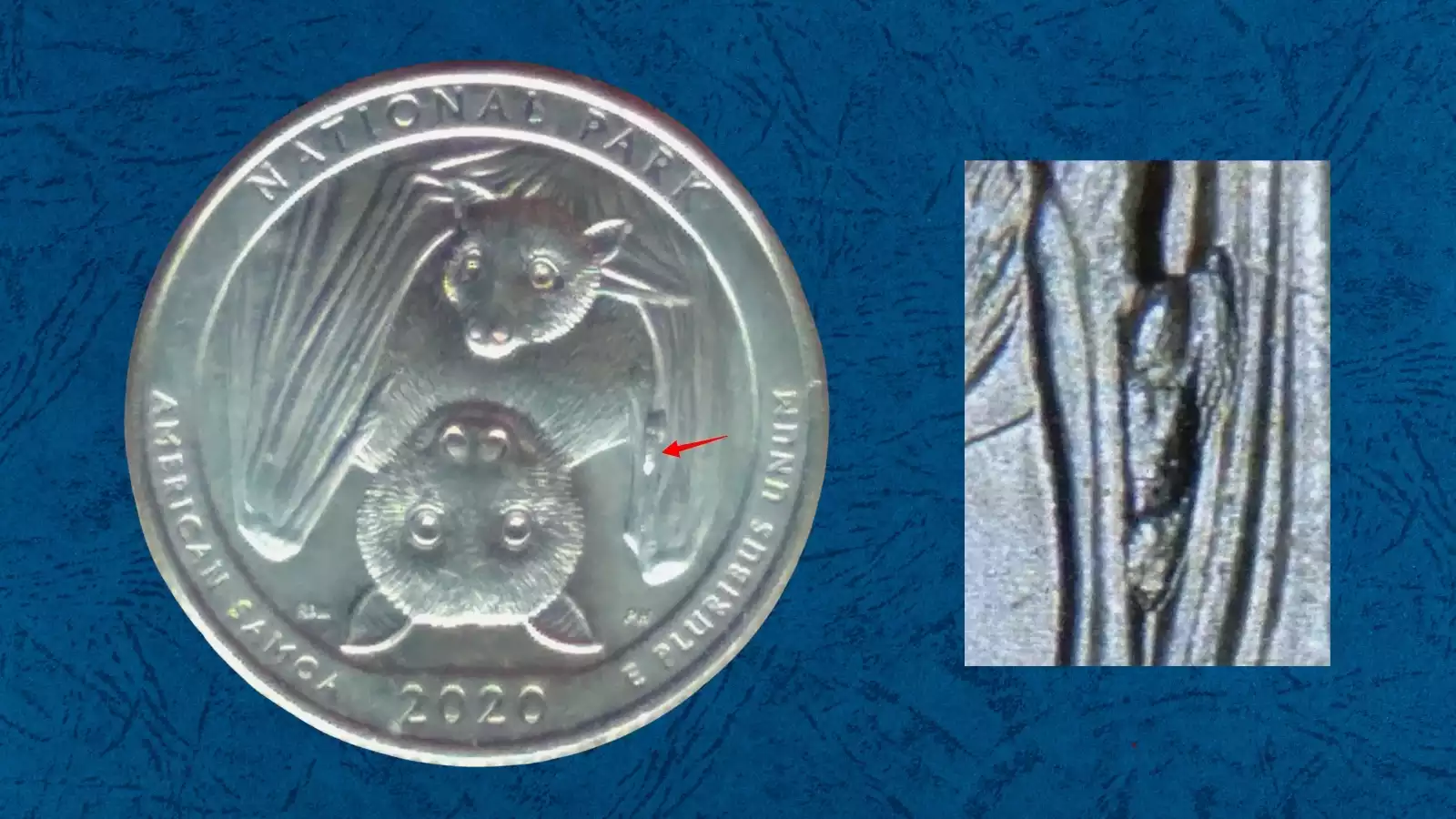 2020 Quarter Coin Value